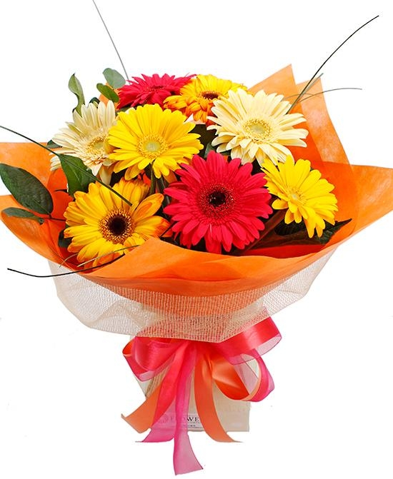 JapanFlowerFarm - Send Flowers & Gifts to Japan